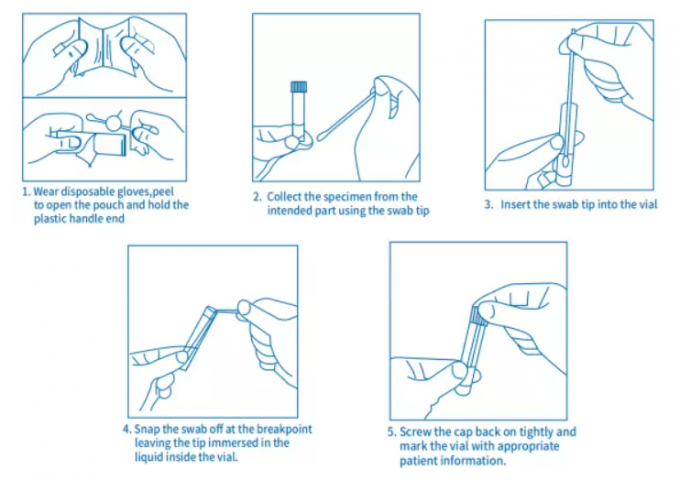 Microbial Nasal Self Swab Sample Collection With UTM Liquid Virus Deep ...