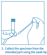 Flocked Oropharyngeal Swab Collection Kit With 3mm Tip 148mm Oval Tip